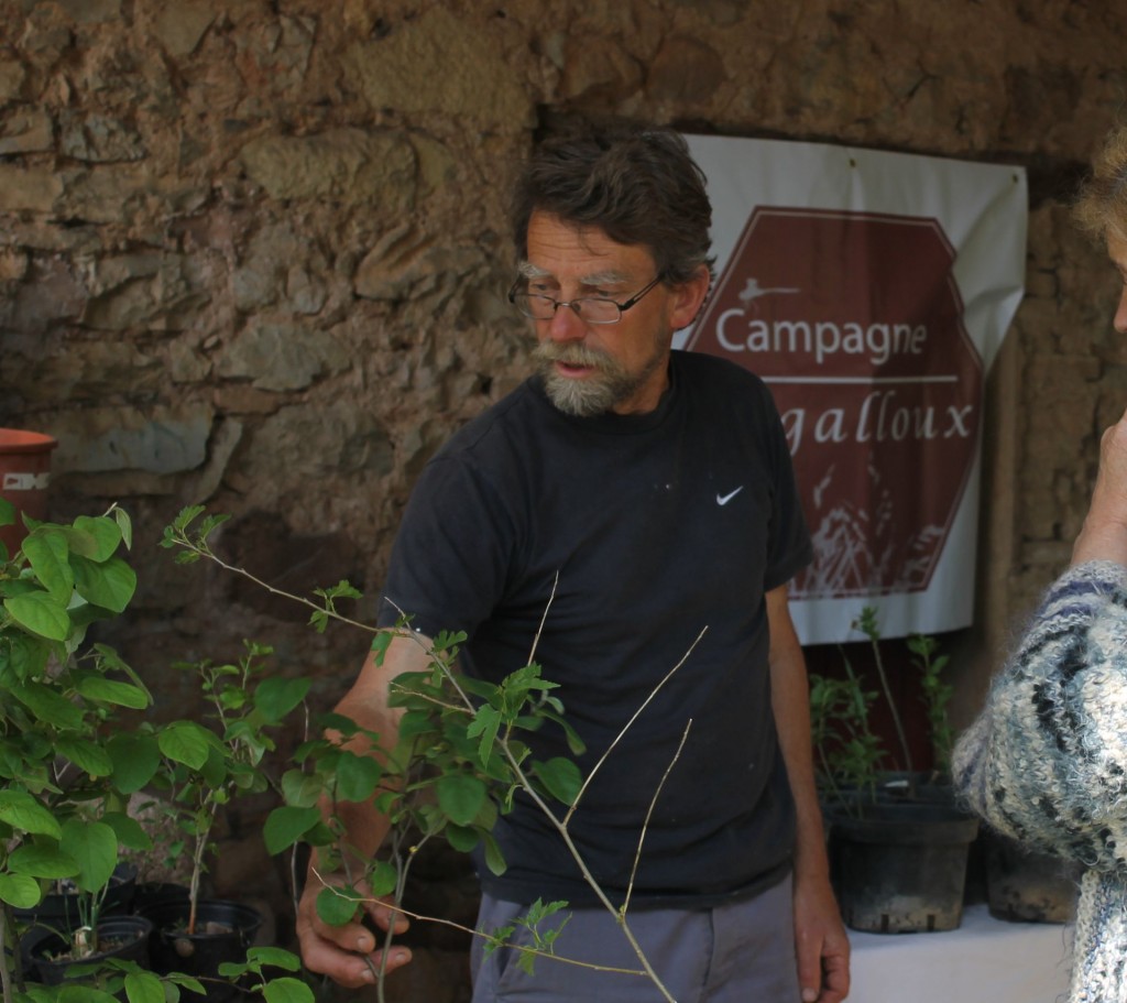 deuxième bourse aux plants - Association Sigalloux