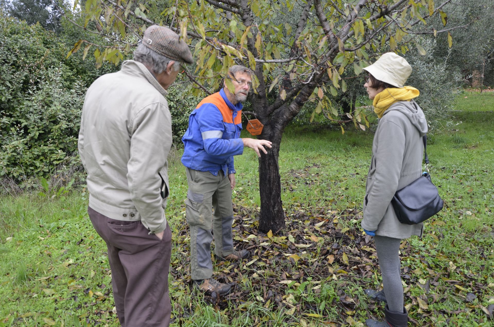 Le verger :animation du 14 décembre à 14:30 - Association Sigalloux