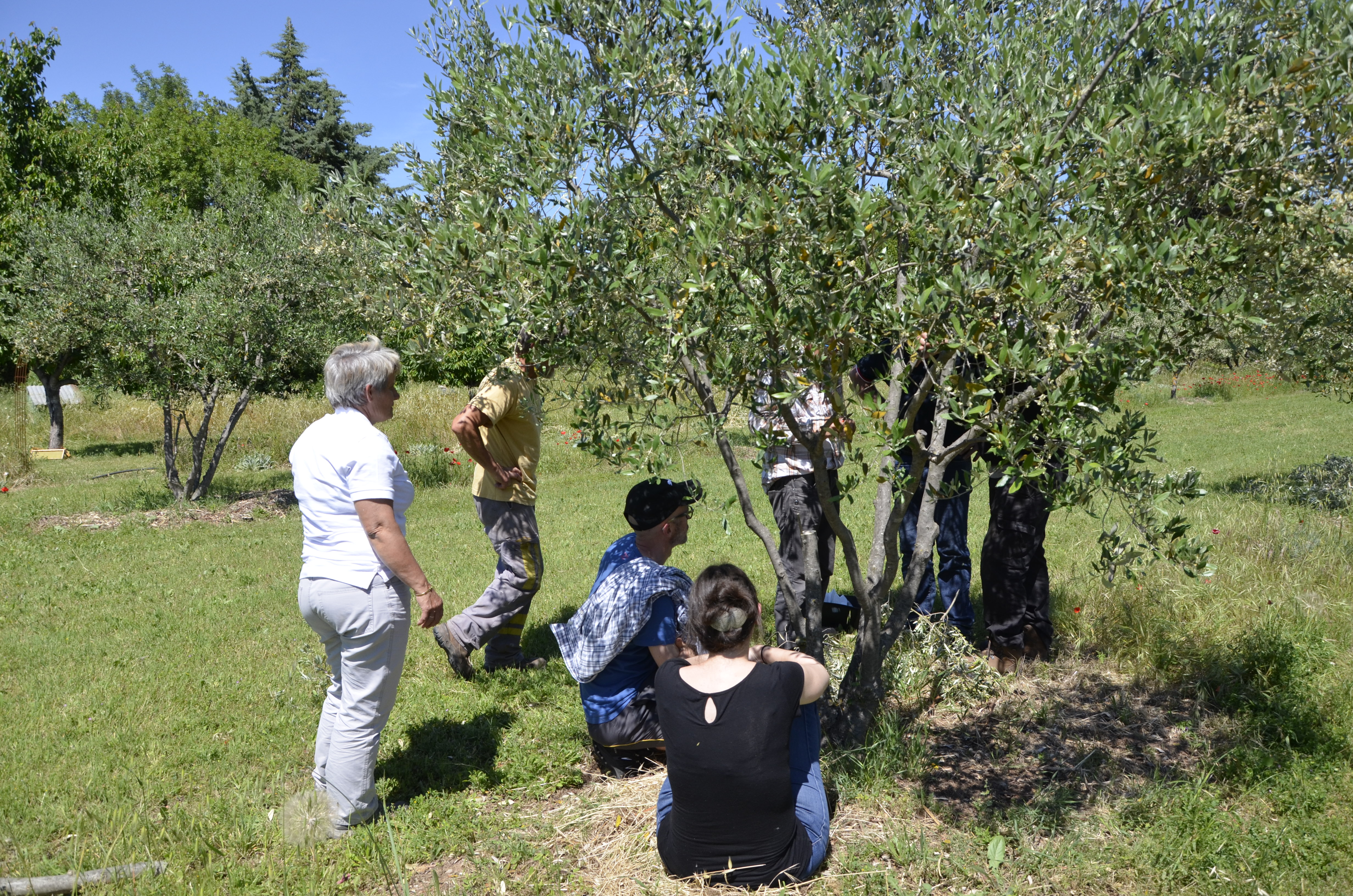 Le verger :animation du 14 décembre à 14:30 - Association Sigalloux